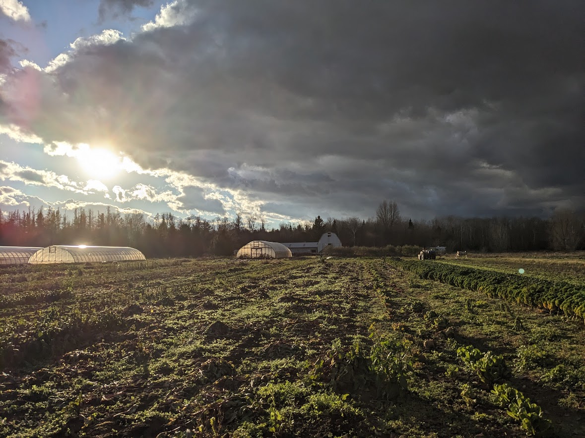 Farming into winter.... - Cedar Down Farm